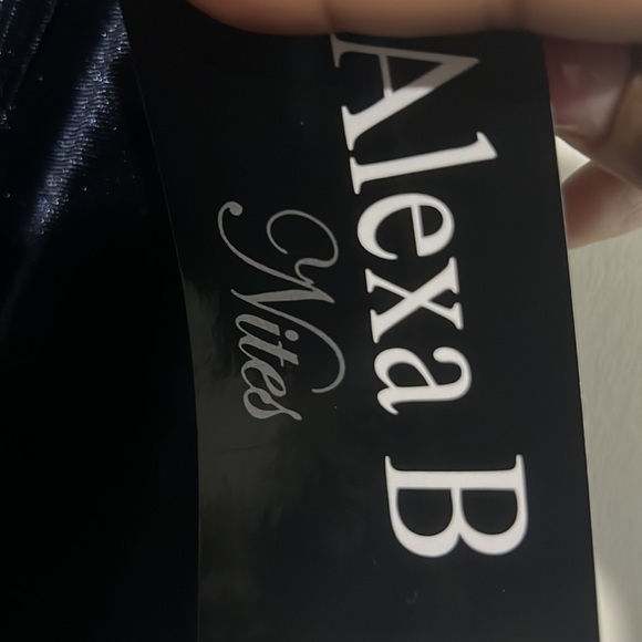 Alexa B Nites | Dresses | Nwt Alexa B Nites Navy Velvet Dress | Poshmark